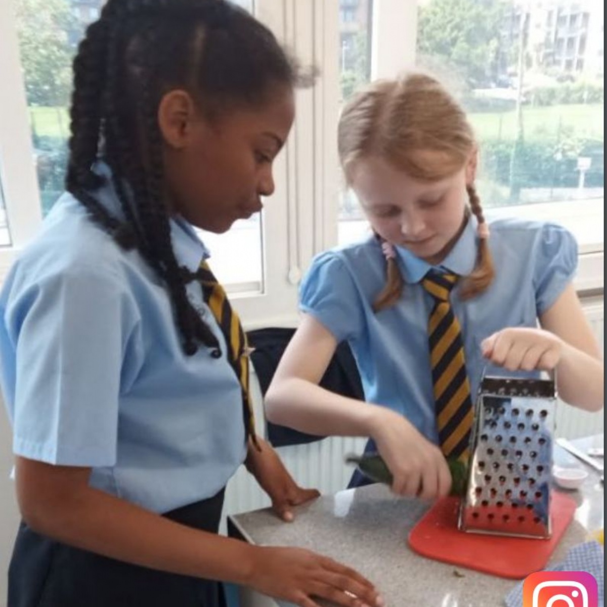 James Dixon Primary School - Newsletter